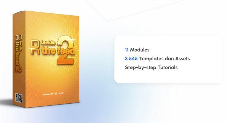 Levidio Year End Special